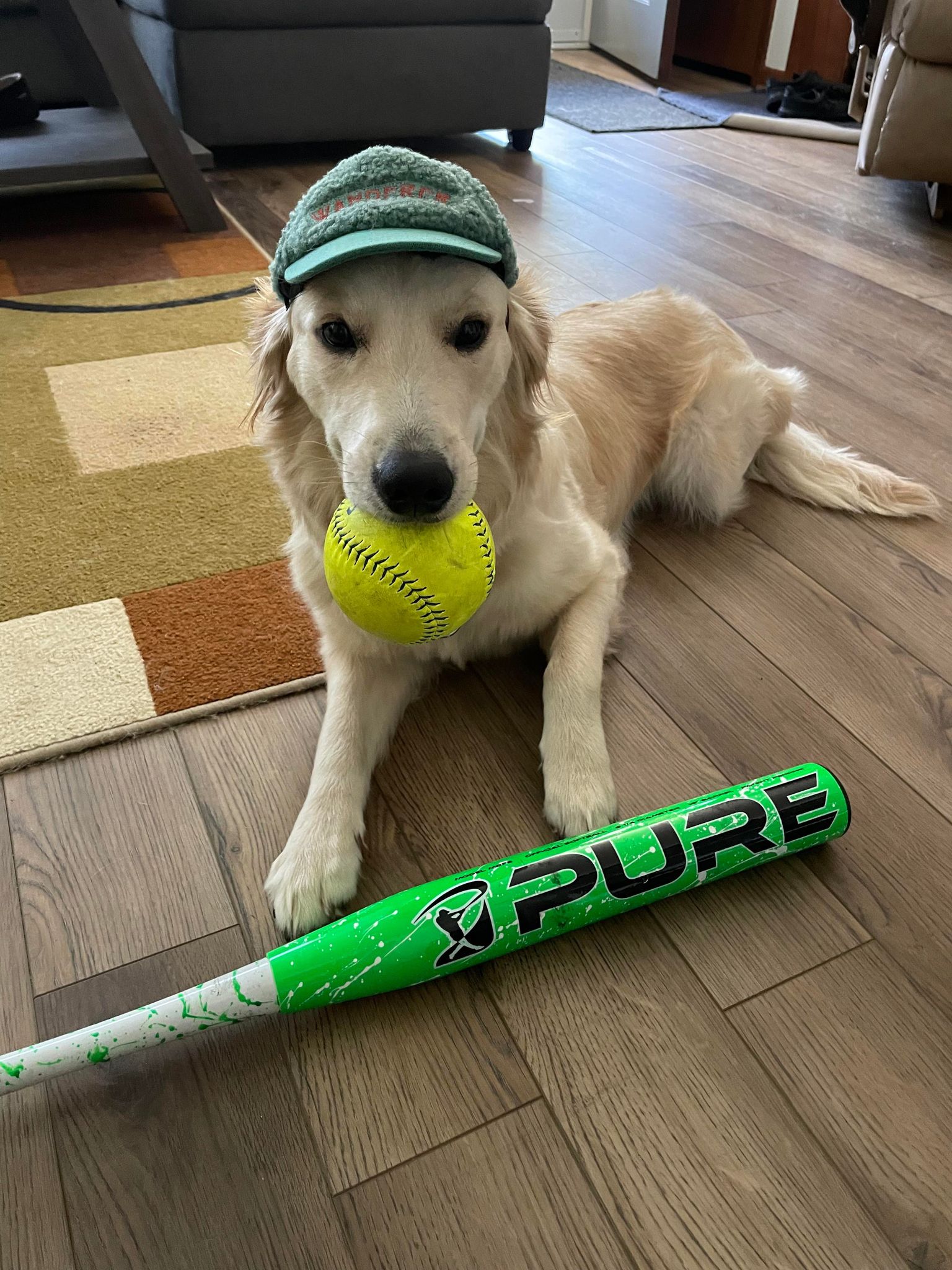 A Breakdown of USSSA Bat Stamp Changes – #SWINGPURE